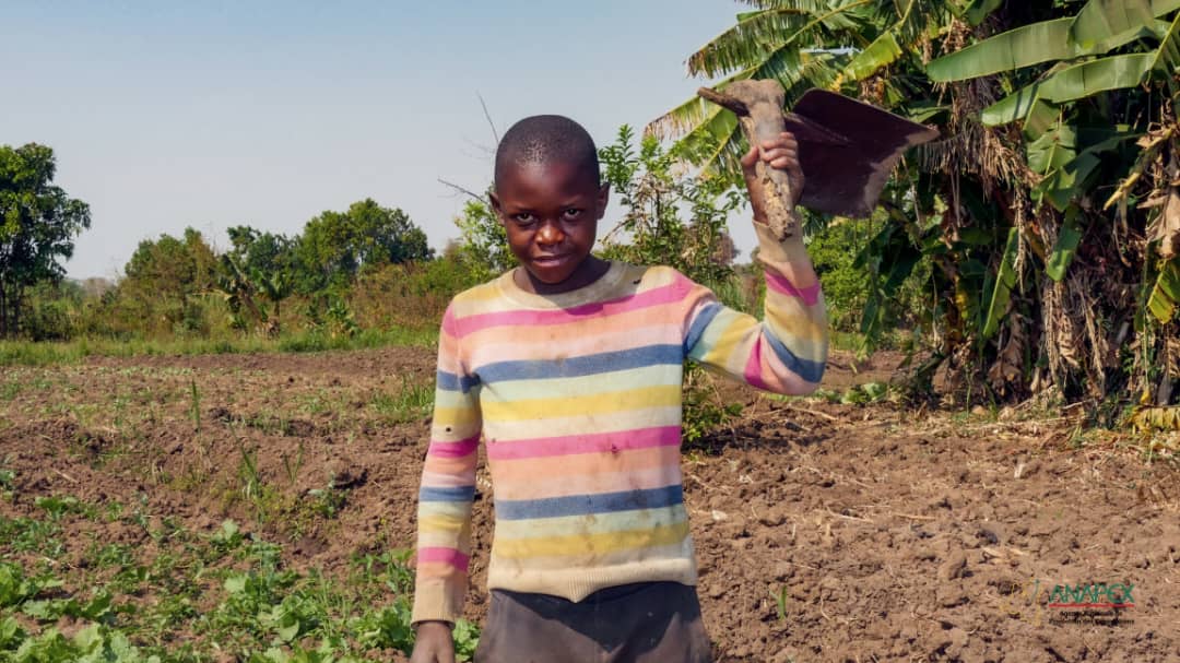 LIKASI: DES OPERATEURS AGRICOLES A LA RECHERCHE D’APPUI POUR ETENDRE ...